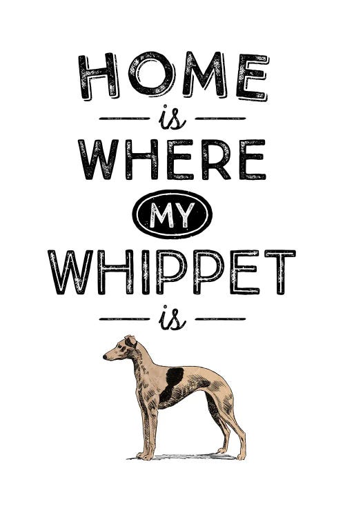 Whippet Canvas Wall Art by Alchera Design Posters | iCanvas