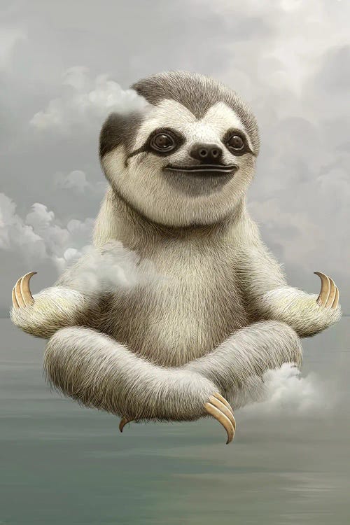 Sloth Meditate Canvas Wall Art by Adam Lawless | iCanvas