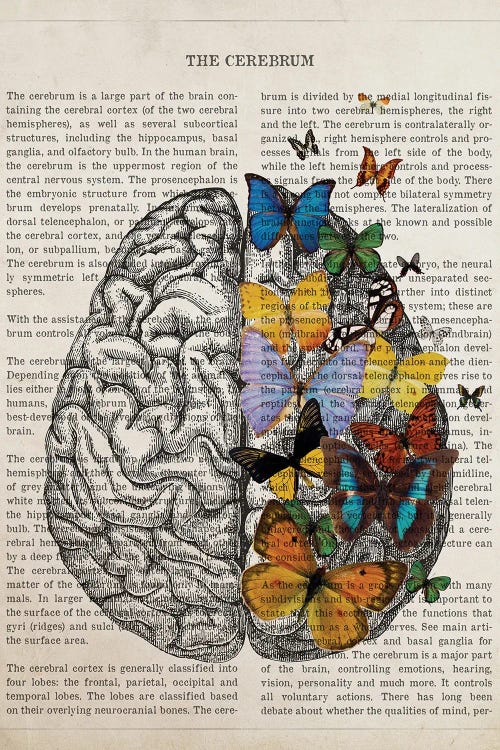 Psychology Brain Art Anatomy Flower Can - Canvas Wall Art | Aged Pixel