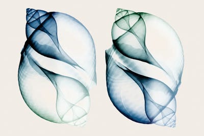 Albert Koetsier - Canvas Prints & Wall Art | iCanvas