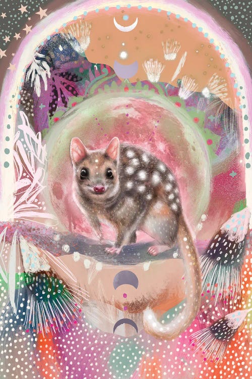Spotted Quoll Canvas Wall Art by Animal Crew | iCanvas