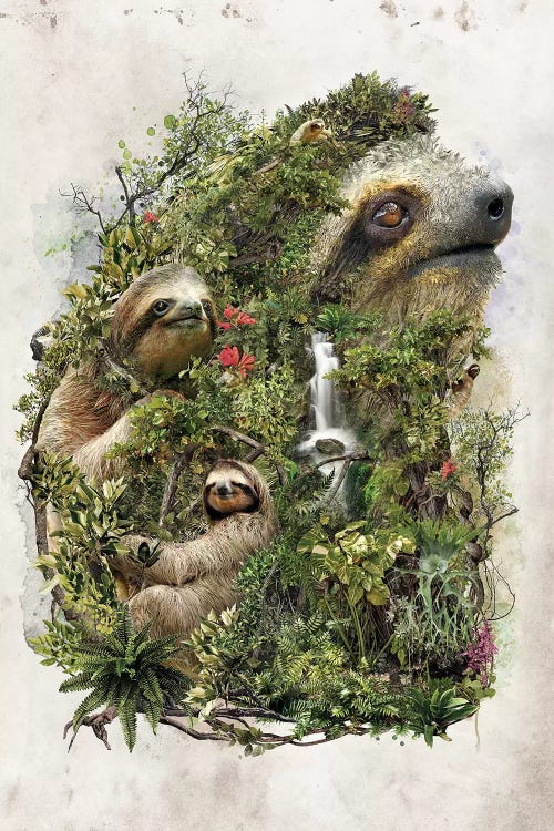 Sloth Meditate Canvas Wall Art by Adam Lawless | iCanvas
