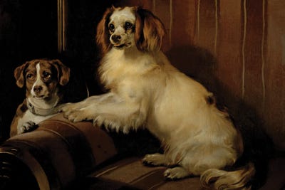 Falcon, 1837 Canvas Wall Art by Sir Edwin Landseer | iCanvas