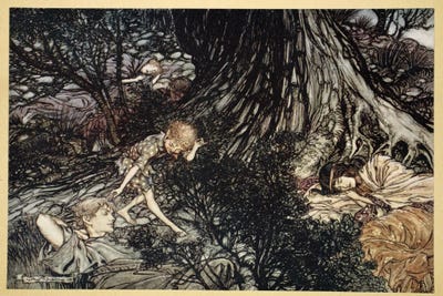 Brunnhilde (Illustration From Richard - Canvas Print | Arthur Rackham