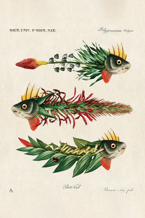 Leaf Fishes Canvas Wall Art by Beto Val | iCanvas