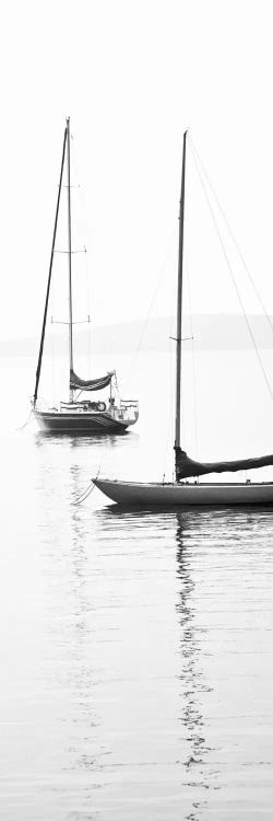 Still Evening Waters II Canvas Wall Art by Carol Robinson | iCanvas