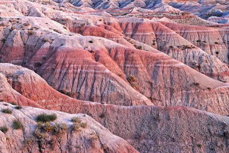 Dusk Colors Of The Badlands Canvas Wall Art by Brian Wolf | iCanvas