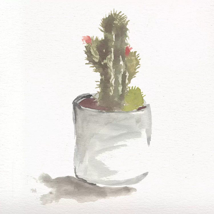 Watercolor Cactus Still Life II Canv - Canvas Wall Art | Marcy Chapman