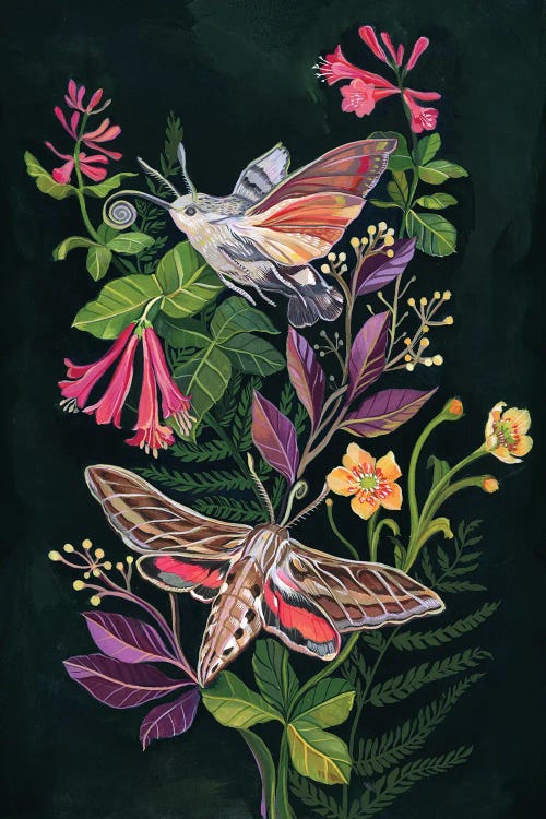 Hummingbird Moth Canvas Wall Art by Clara McAllister | iCanvas