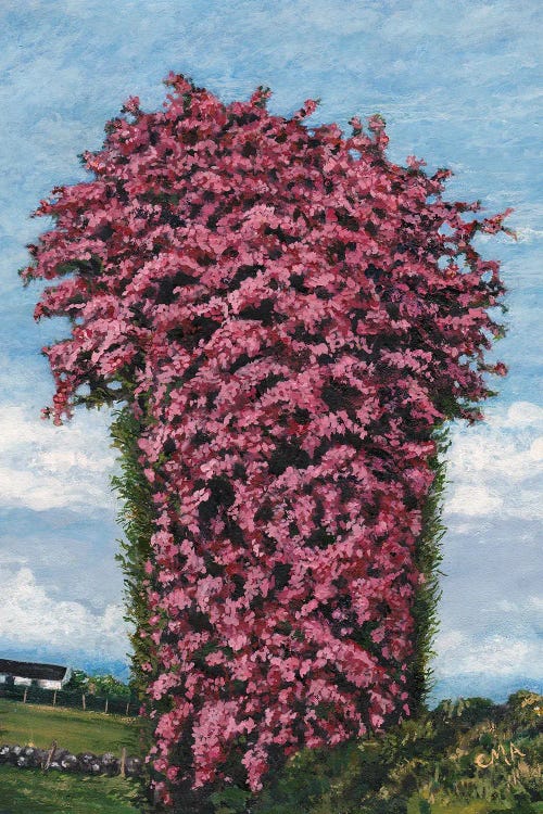 Primavera Canvas Wall Art by Catherine Patrickson | iCanvas