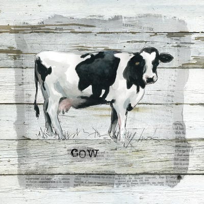 Holstein Cow III Canvas Art Print by Jade Reynolds | iCanvas