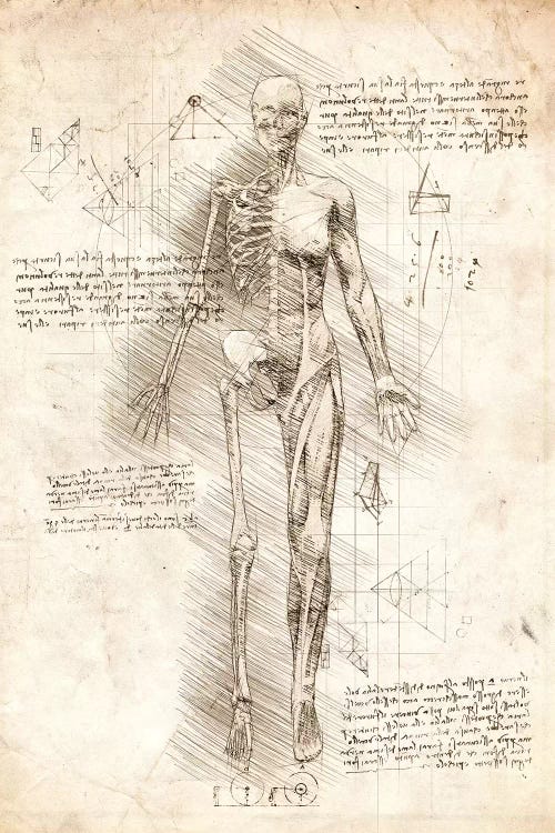 Human Female Half Drawing Canvas Wall Art by Cornel Vlad | iCanvas