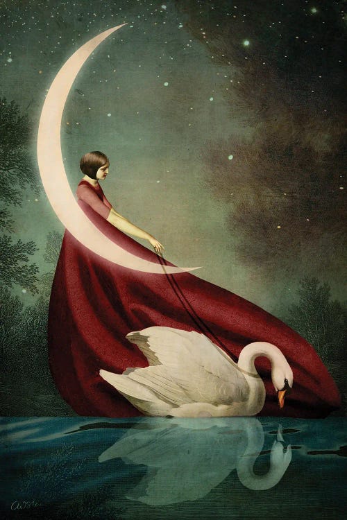 Moonlight Shadows Canvas Wall Art by Catrin Welz-Stein | iCanvas