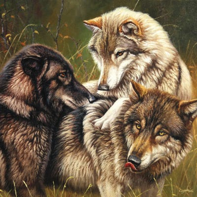 Wolf Pack Paintings