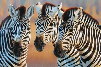 Zebra Paintings On Canvas