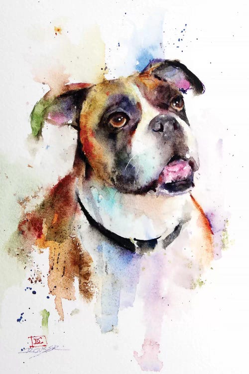 Watercolor Boxer II Canvas Wall Art by Paul Rommer | iCanvas