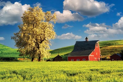 Spring Barn Wallpaper