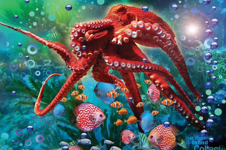 Red Octopus Canvas Wall Art by David Loblaw | iCanvas