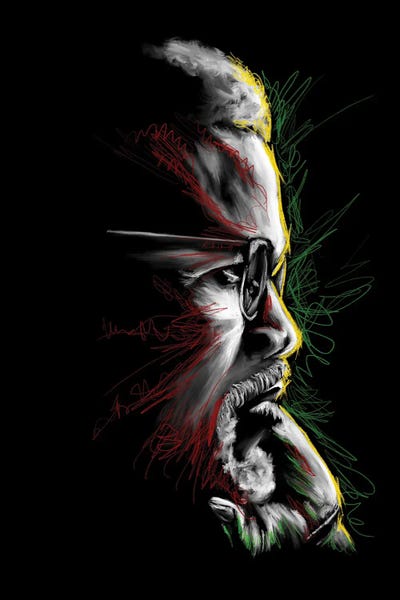 Malcolm X Canvas Print by Domonique Brown | iCanvas