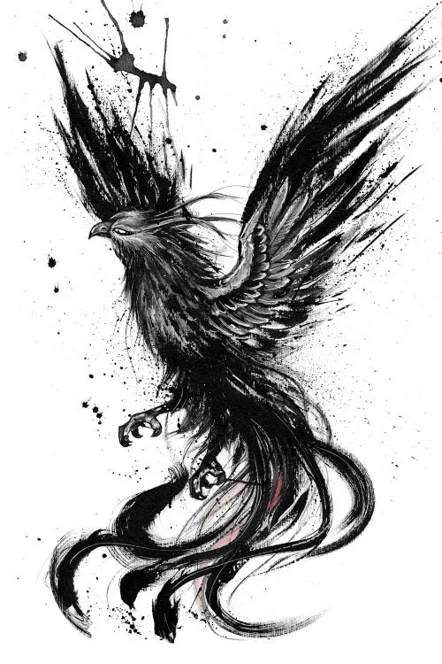 Phoenix Canvas Wall Art by Doriana Popa | iCanvas