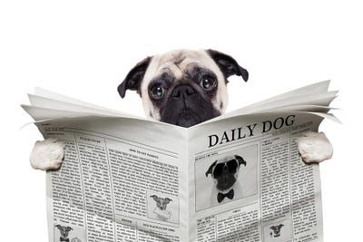 Puppy Newspaper