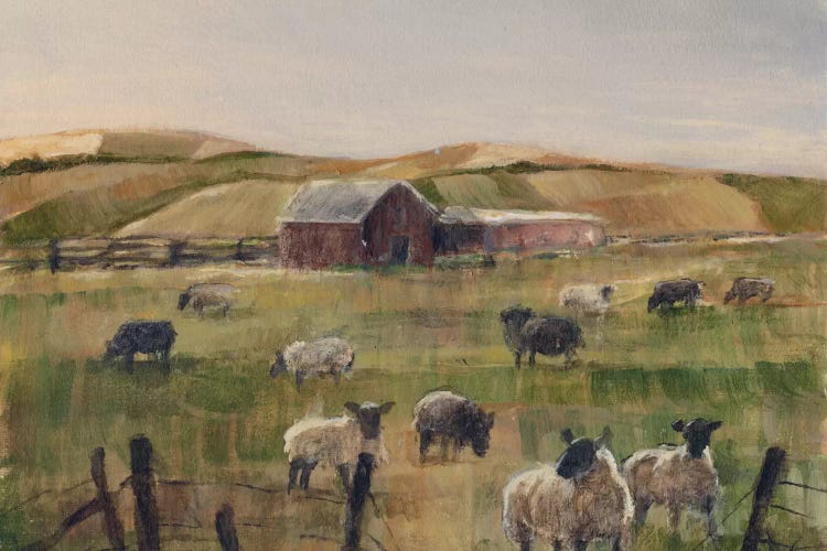 Grazing Sheep II Canvas Wall Art by Ethan Harper | iCanvas