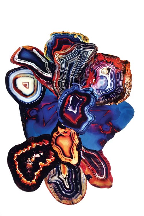 Earth Elements Canvas Wall Art by Elena Kulikova | iCanvas