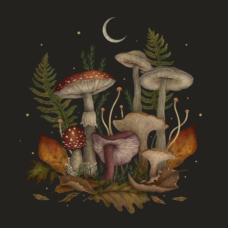 Autumn Mushrooms Canvas Wall Art by Episodic Drawing | iCanvas