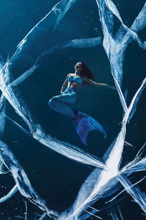 Ice Mermaid Canvas Wall Art by Evgenij Soloviev | iCanvas