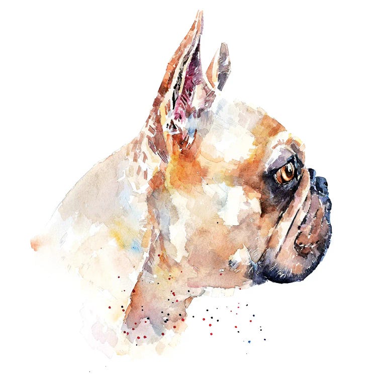Frenchie Canvas Wall Art by EdsWatercolours | iCanvas