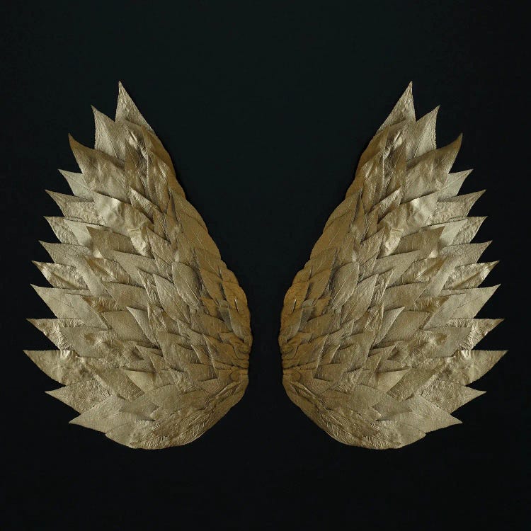 Gold Leaf Angel Wings Canvas Wall Art by Alyson Fennell | iCanvas