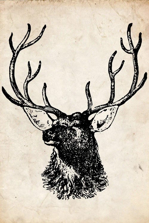 Vintage Stags Head Canvas Wall Art by FisherCraft | iCanvas