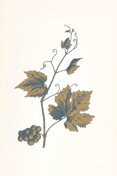 Rowan Sprig (Brown) Canvas Wall Art by 5by5collective | iCanvas