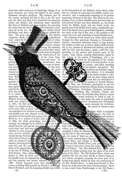 Steampunk Raven Drawing