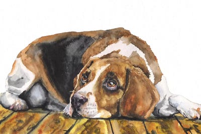 George P Dog