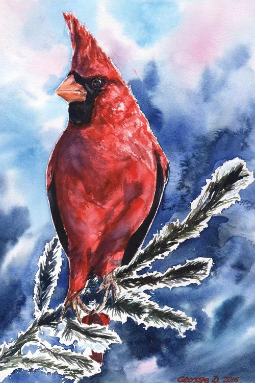 Cardinal Canvas Wall Art by George Dyachenko | iCanvas