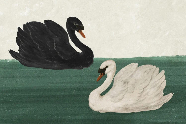 Black Swan White Swan Canvas Wall Art by Laura Graves | iCanvas