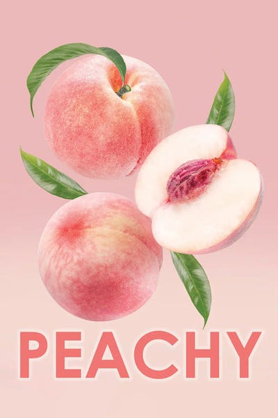 Peachy Framed Art Print by Heather Grey | iCanvas
