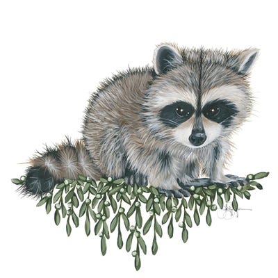 Cute Baby Raccoon Drawing