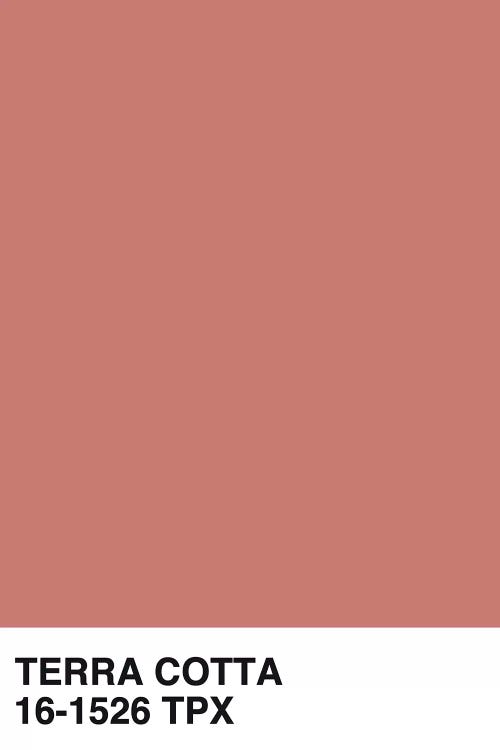 Terra Cotta 16-1526 TPX Canvas Wall Art by Honeymoon Hotel | iCanvas