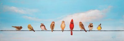 The Usual Suspects - Birds on a Wir - Canvas Art Print | Avery Tillmon