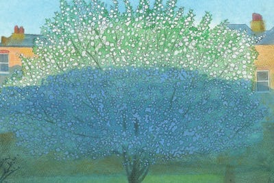 Apple Blossom In Shadow Canvas Wall Art by Ian Beck | iCanvas