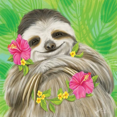 Three Toed Sloth Smiling