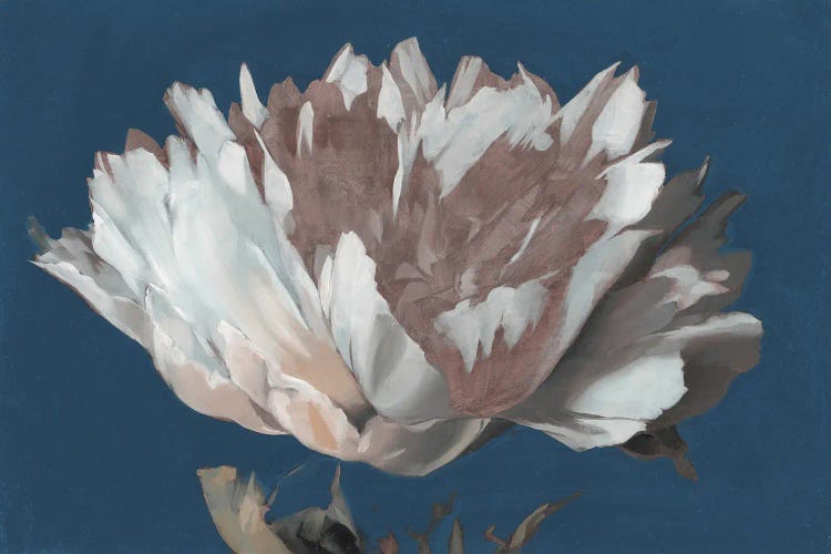 Poem Peony Canvas Wall Art by Sarah Yeoman | iCanvas