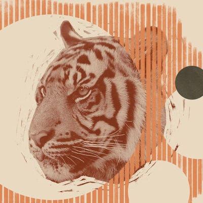 Pop Out Drawings Of Tigers