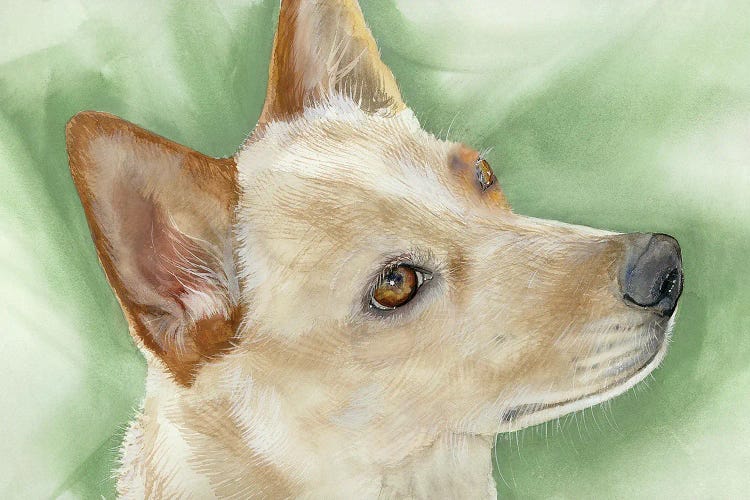Ghost Eye Dog - Australian Shepherd C - Canvas Wall Art | Judith Stein