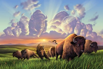 Jerry Lofaro - Canvas Prints & Wall Art | iCanvas