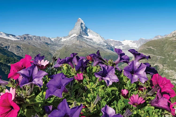 The Matterhorn In Spring Canvas Wall Art by Jan Becke | iCanvas
