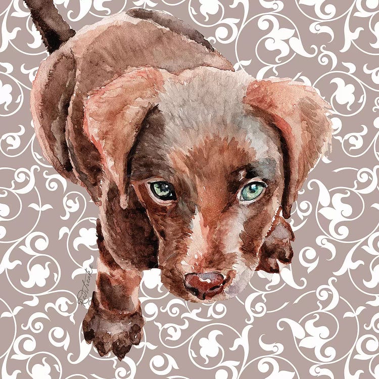 Chocolate Lab Canvas Wall Art by Weekday Best | iCanvas