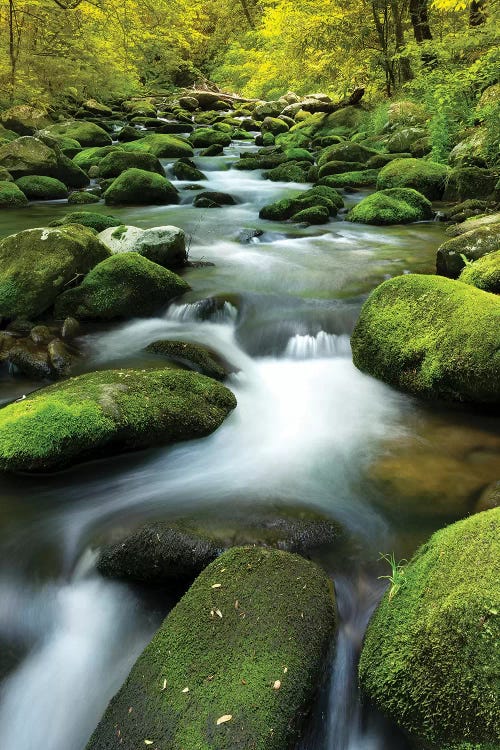 Mountain Stream Canvas Wall Art by Jonathan Ross Photography | iCanvas